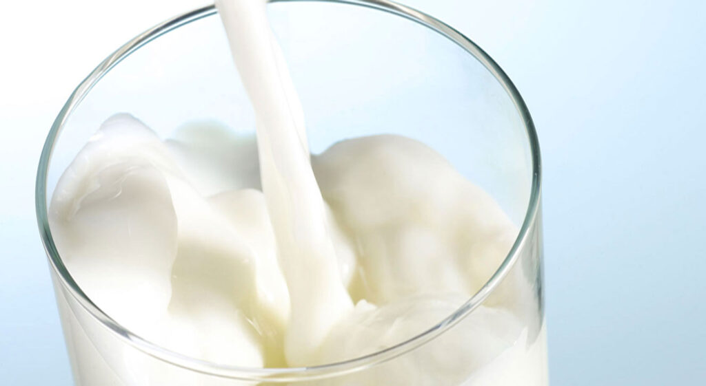 Dutch Lady Singapore