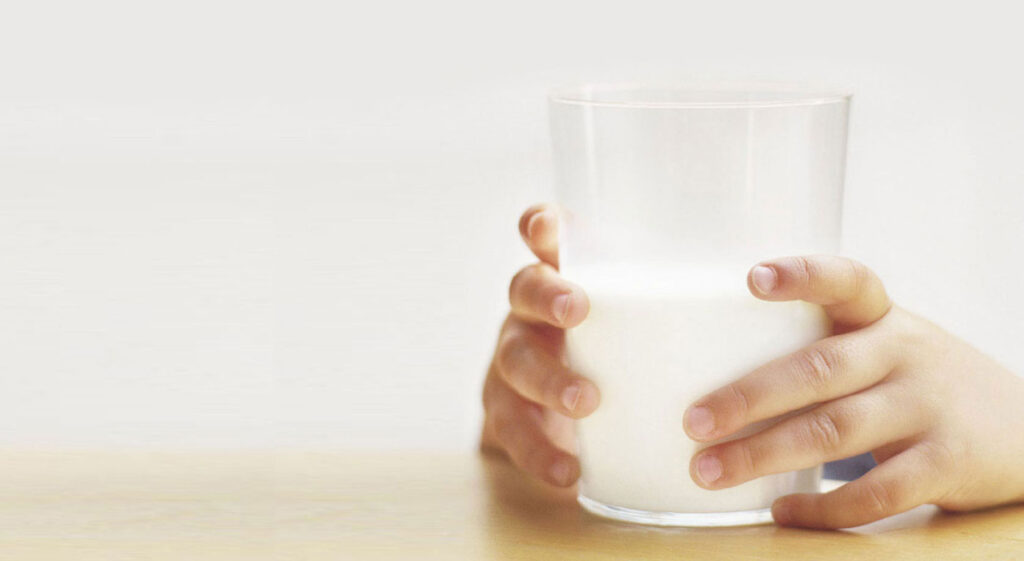 Dutch Lady Singapore